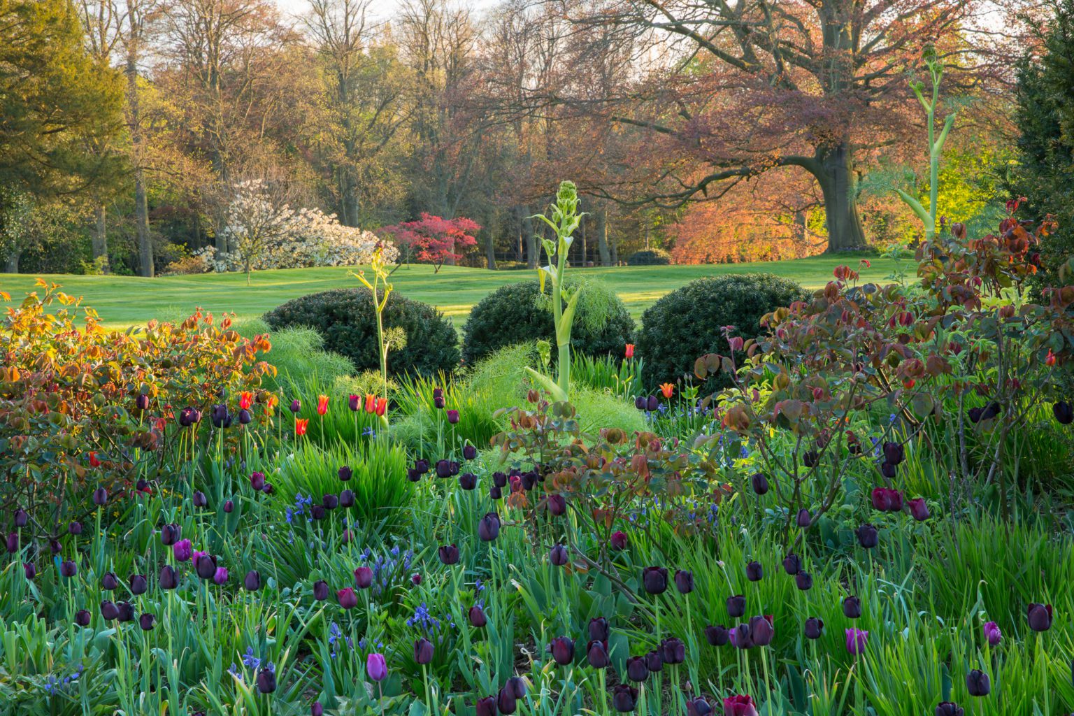Garden Designer - Landscape Designer - Oxfordshire, UK | James ...