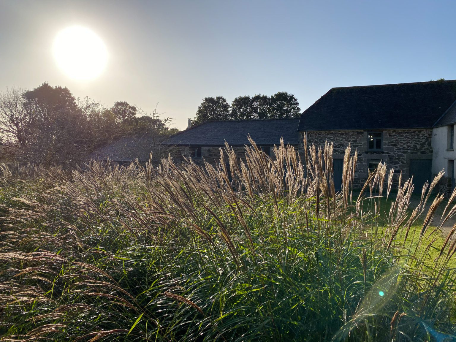 Garden Designer - Landscape Designer - Oxfordshire, UK | James ...