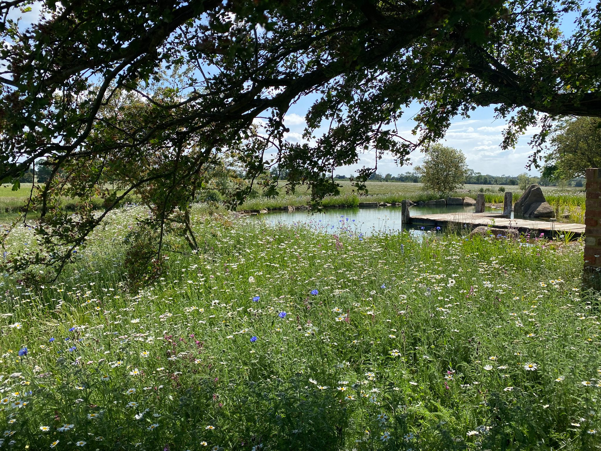 Garden Designer - Landscape Designer - Oxfordshire, UK | James ...