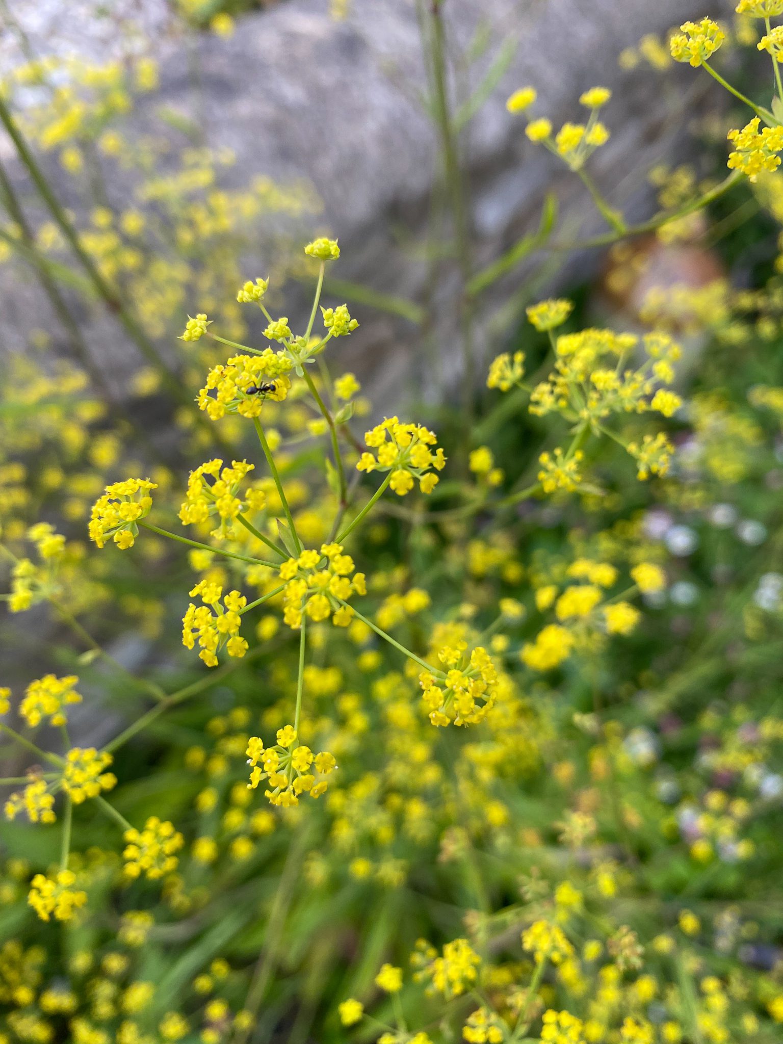 Contact | James Alexander-Sinclair