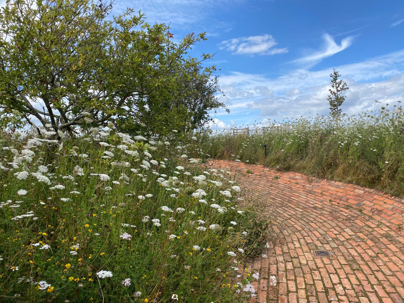 Potting Shed Garden Design | James Alexander-Sinclair